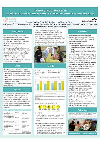 Research with the NBO – Brazelton Centre UK