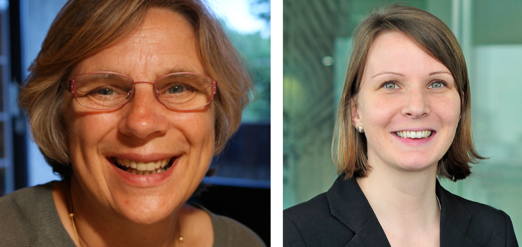 Annoucement of New Chair and Vice Chair of Trustees – Brazelton Centre UK